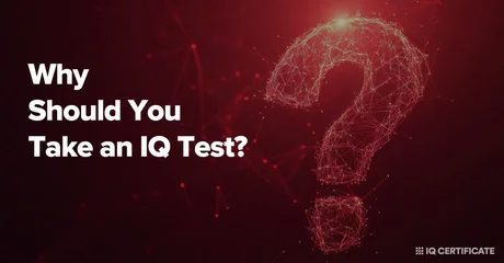 Understanding the Importance of IQ: Impact on Personal and Professional ...