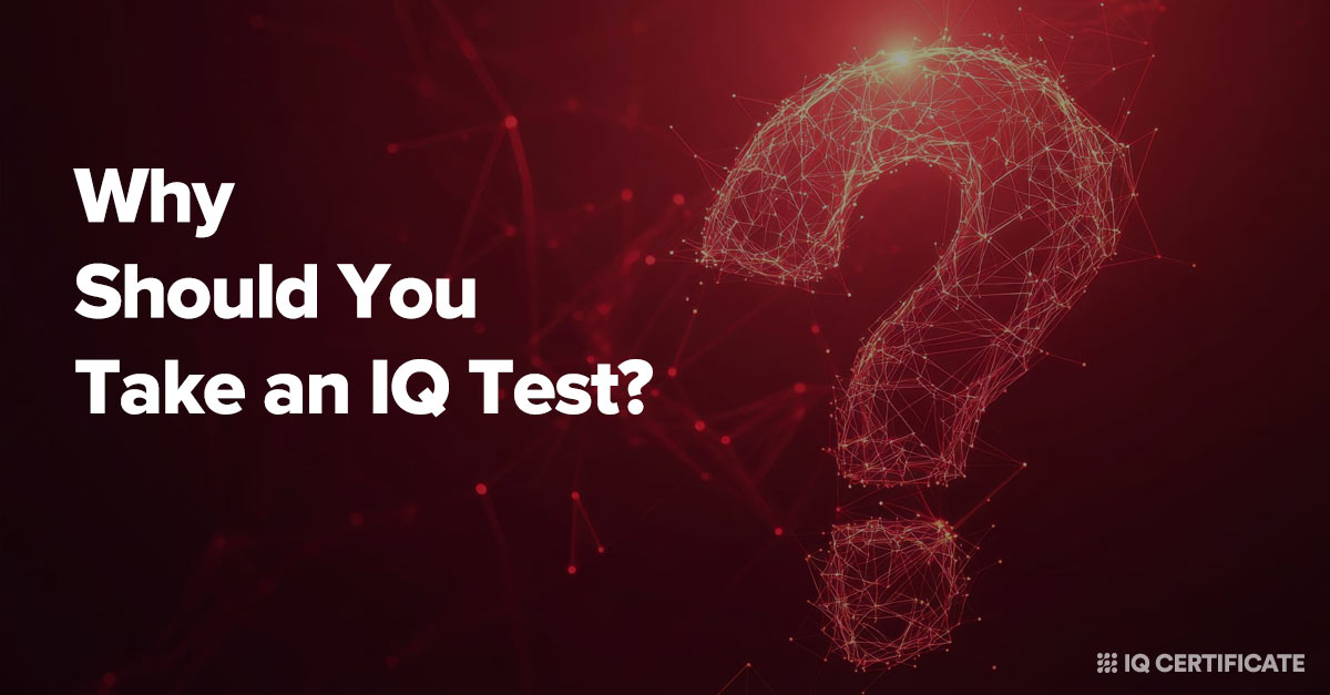 Why Should You Take an IQ Test?